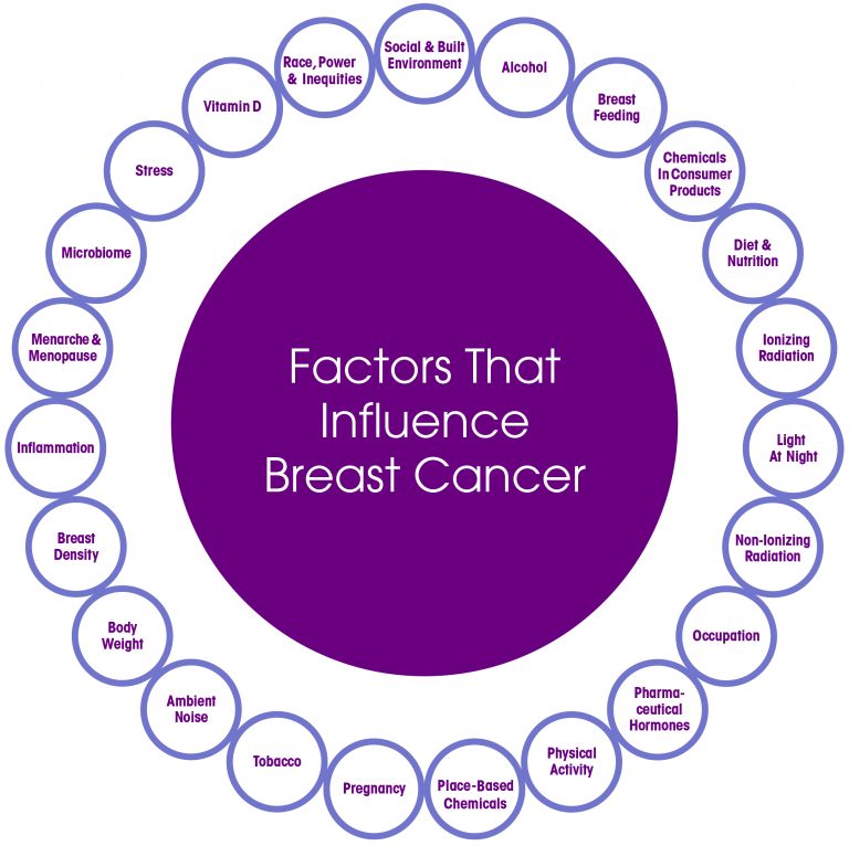 Breast Cancer Risk Factors - Breast Cancer Prevention Partners (BCPP)
