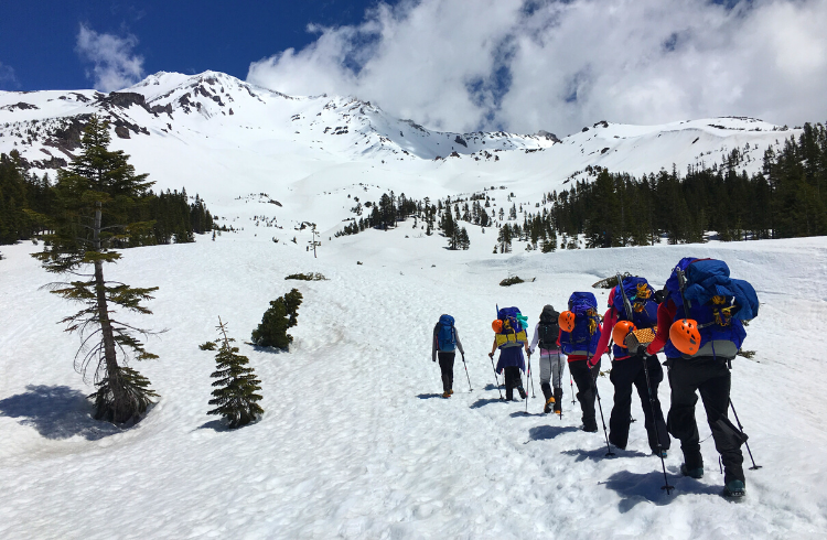 Breast Cancer Prevention Partners (BCPP) | Exposing The Cause Is The Cure