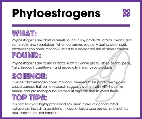 Phytoestrogens - Breast Cancer Prevention Partners (BCPP)