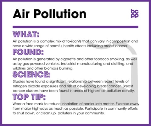 Air Pollution: A Place-Based Exposure - Breast Cancer Prevention ...