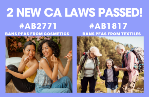 Breast Cancer Prevention Partners (BCPP) | Exposing The Cause Is The Cure