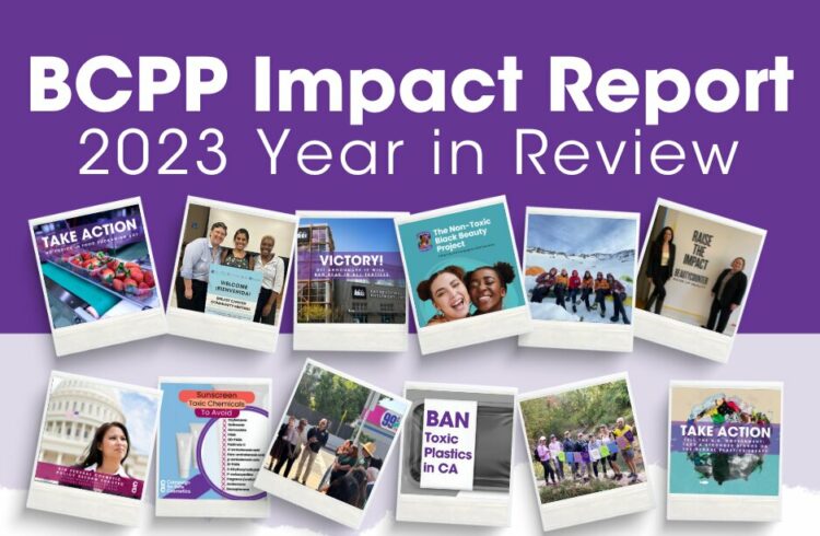 Breast Cancer Prevention Partners (BCPP) | Exposing The Cause Is The Cure